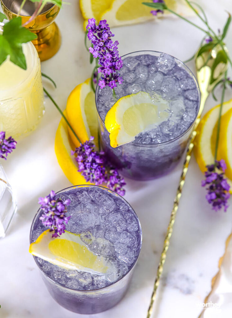10+ Best Limoncello Cocktails - Cooking My Dreams