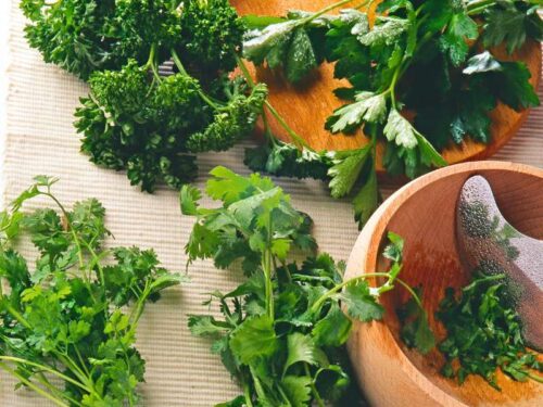 10 Best Parsley Substitutes - Cooking My Dreams