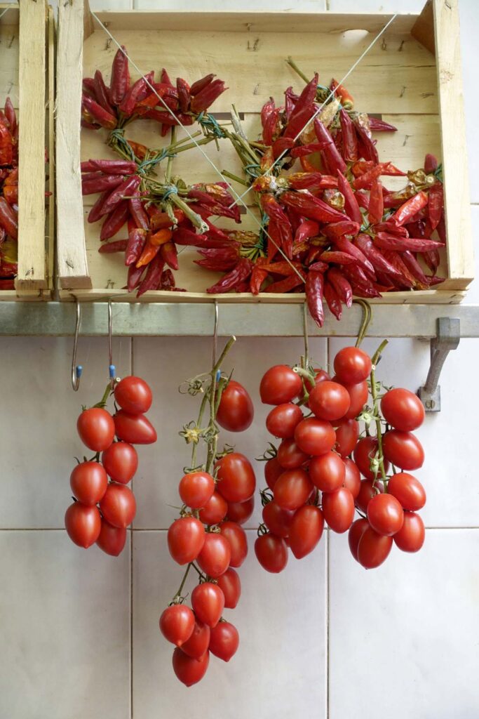 Ultimate Guide to Italian Tomato Variaties (and how to use them ...